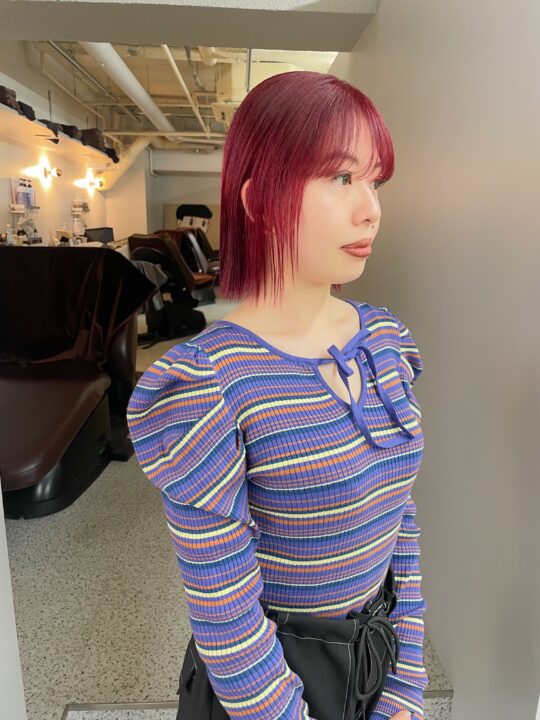 レッドカラー｜ヘアカタログ｜アリミノヘアカタログ｜IROTRIP（イロトリップ）