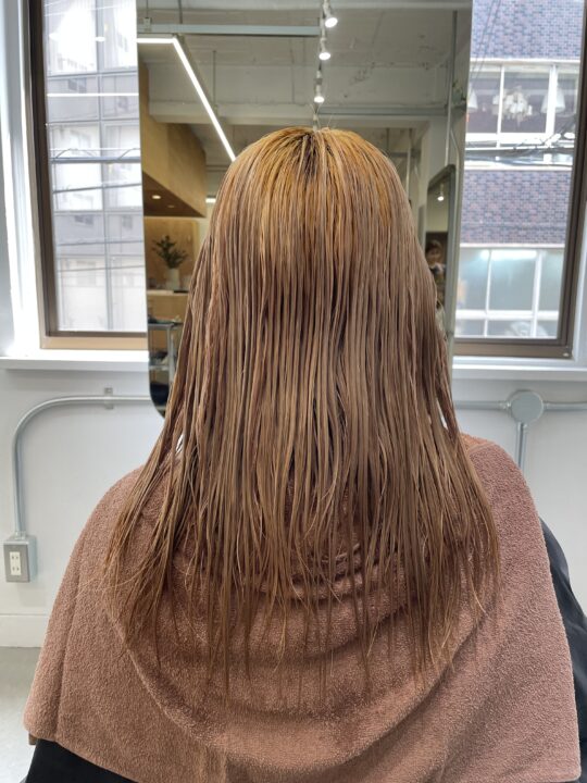 cherry red｜ヘアカタログ｜アリミノヘアカタログ｜IROTRIP（イロトリップ）