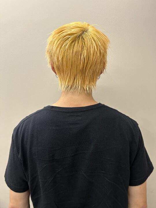 energy orange｜ヘアカタログ｜アリミノヘアカタログ｜IROTRIP（イロトリップ）