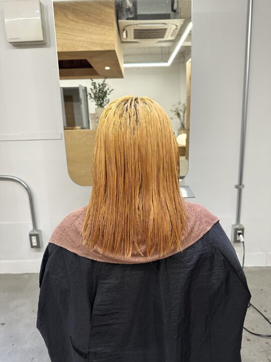 hazel beige｜ヘアカタログ｜アリミノヘアカタログ｜IROTRIP（イロトリップ）