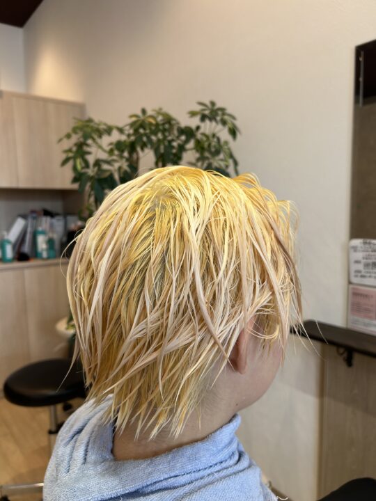 シルバーマッシュ｜ヘアカタログ｜アリミノヘアカタログ｜IROTRIP（イロトリップ）