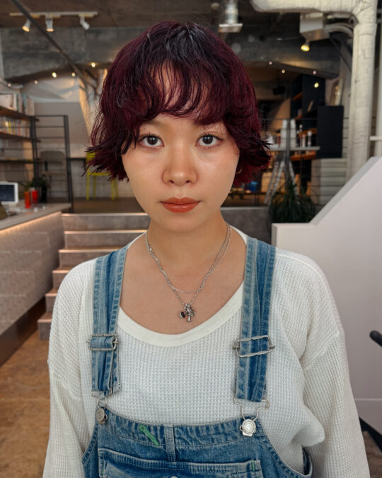 DARK RED｜ヘアカタログ｜アリミノヘアカタログ｜IROTRIP（イロトリップ）