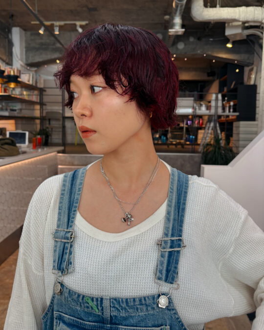 DARK RED｜ヘアカタログ｜アリミノヘアカタログ｜IROTRIP（イロトリップ）