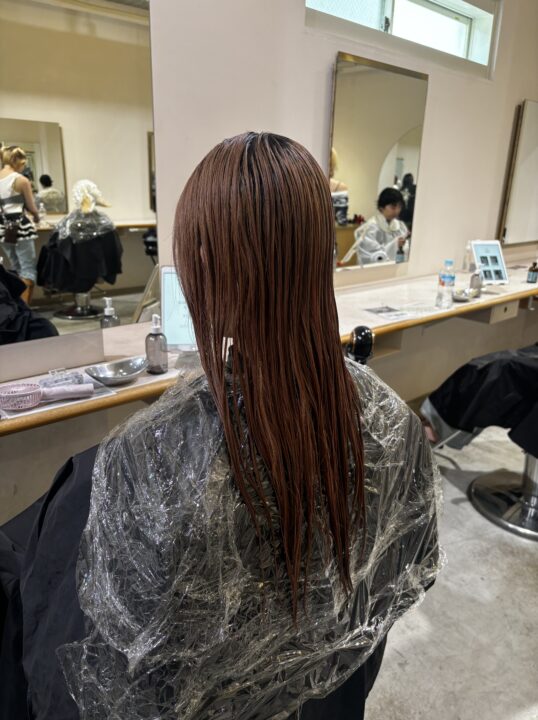 ダークプラム｜ヘアカタログ｜アリミノヘアカタログ｜IROTRIP（イロトリップ）